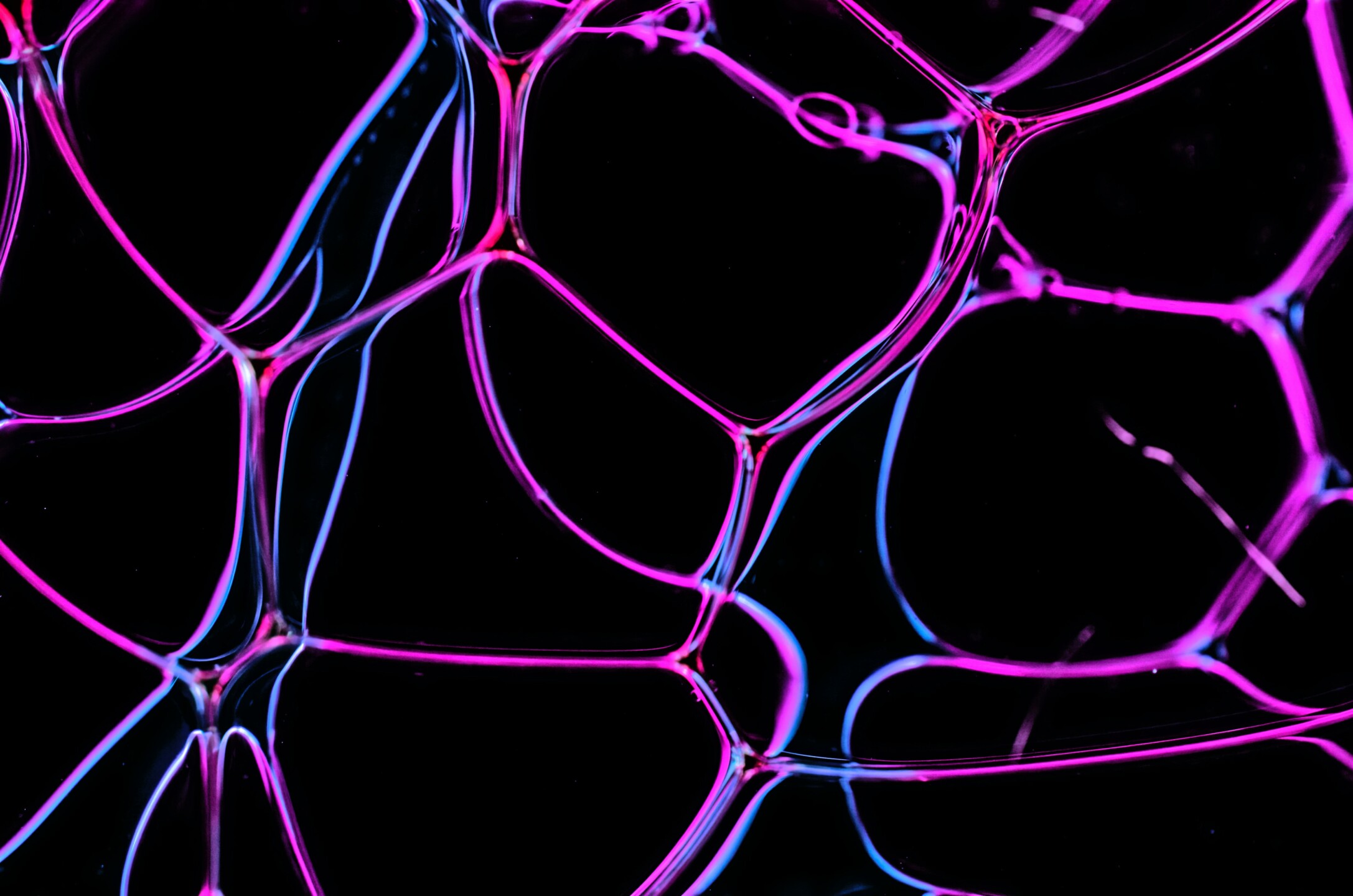 Five Rapid Response Tips for PR Professionals | TEAM LEWIS